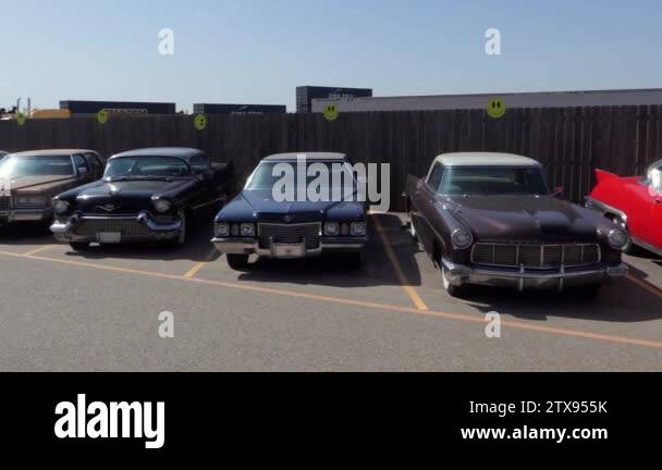 Museum private collection Stock Videos & Footage - HD and 4K Video ...