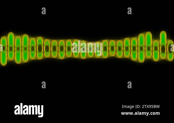 motion graphics and animated background of pulsating line acting ...
