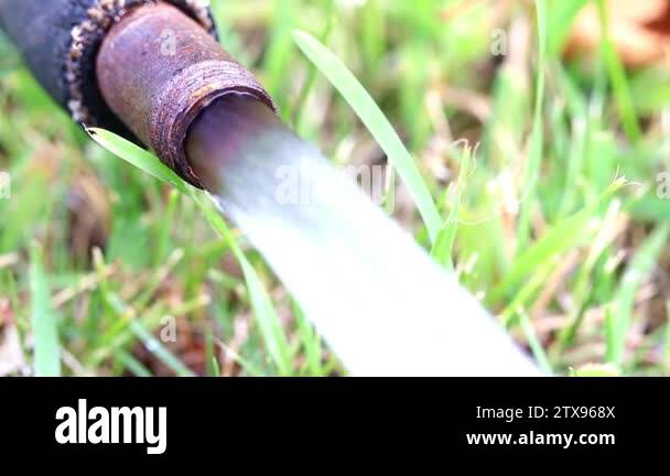 Lawn pipe Stock Videos & Footage - HD and 4K Video Clips - Alamy