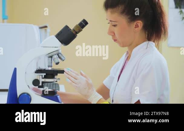 Vet looking microscope Stock Videos & Footage - HD and 4K Video Clips ...