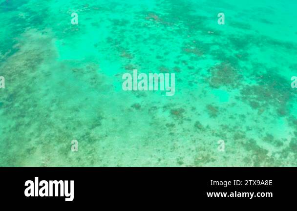 Coral reefs and atolls in the tropical sea, top view. Sea surface Stock ...