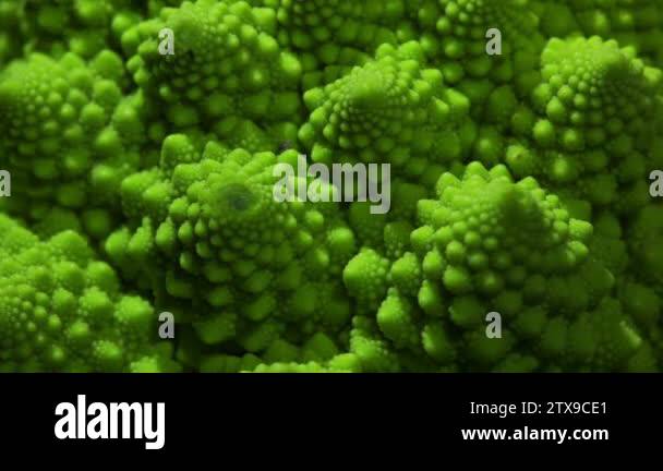 Broccoli and romanesco Stock Videos & Footage - HD and 4K Video Clips ...