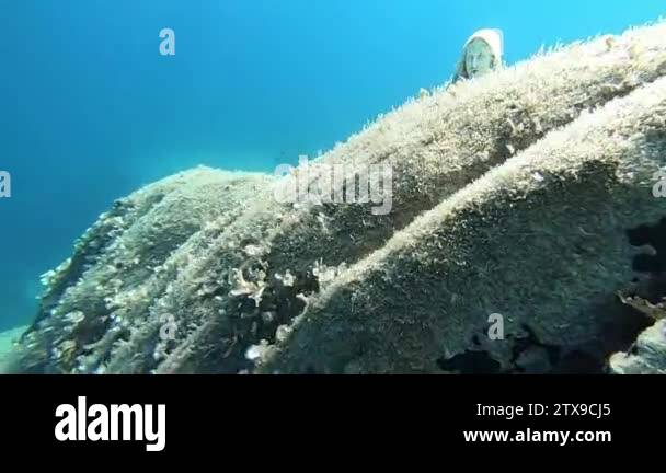 Underwater footage of a statue of the Blessed Virgin Mary in the middle ...
