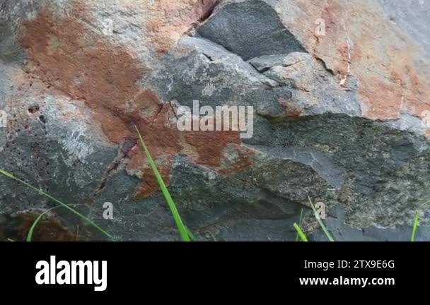 Porphyritic texture Stock Videos & Footage - HD and 4K Video Clips - Alamy