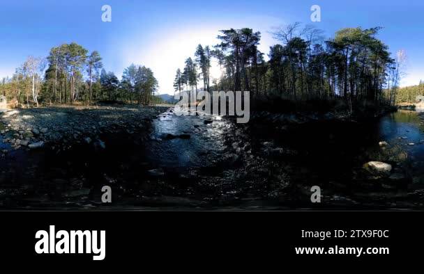 360 VR virtual reality of a wild mountains, pine forest and river flows ...