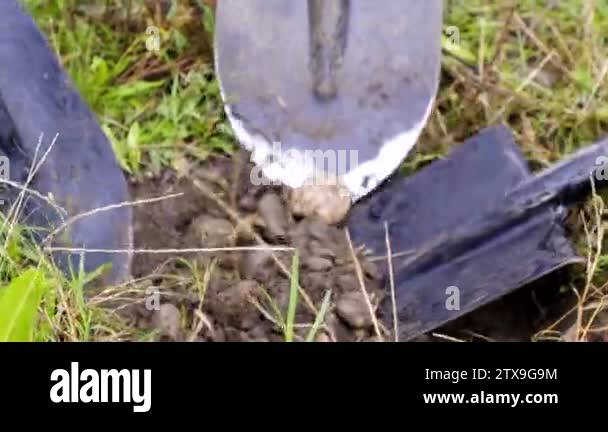 Anti tank stones Stock Videos & Footage - HD and 4K Video Clips - Alamy