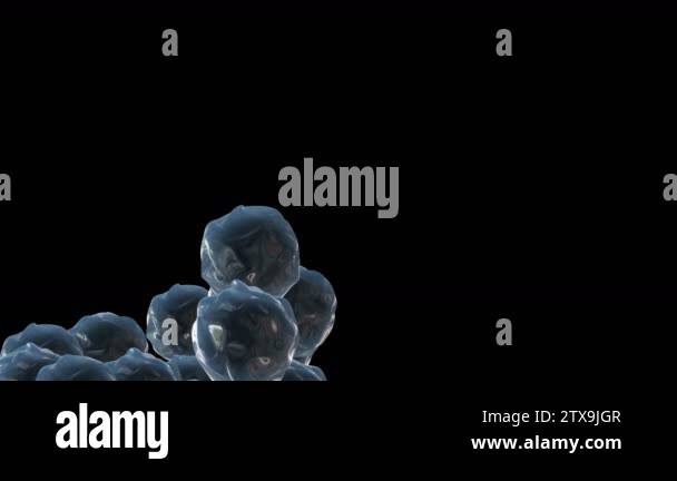 4k Abstract 3d cell microbe bacteria cancer bubble blisters particle ...