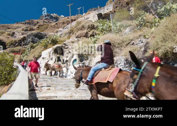 Santorini Greece Cruise Ship Passenger Tourists Riding Donkeys Up the ...