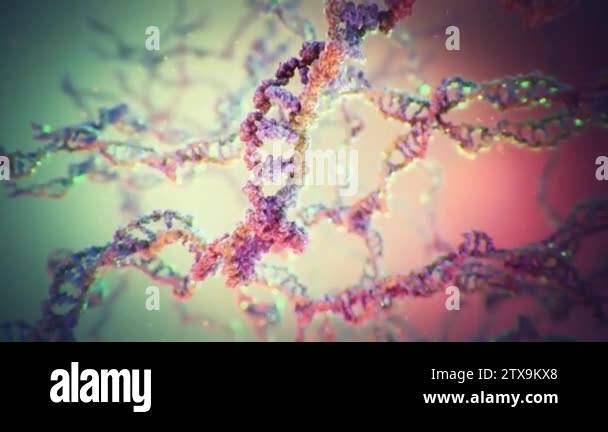 Adn genetic Stock Videos & Footage - HD and 4K Video Clips - Alamy