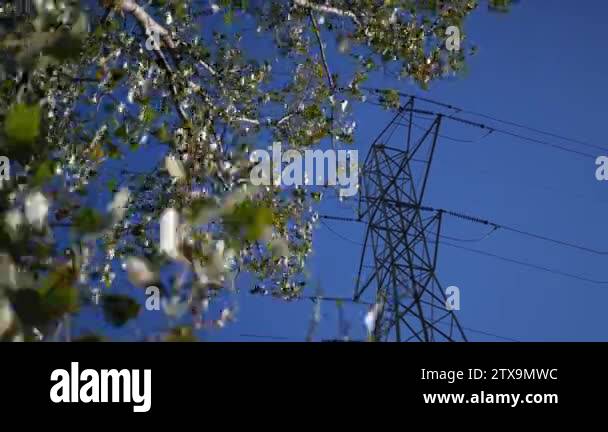 Electric power tower trees Stock Videos & Footage - HD and 4K Video ...