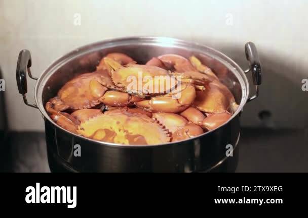 Hand open cover pot steamed crab in pot. live crabs in a pot. steaming ...