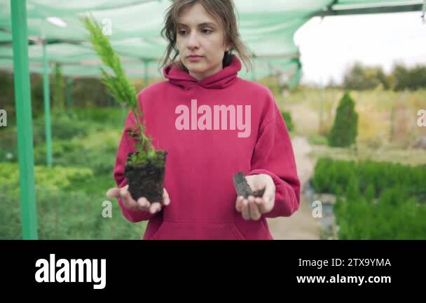 Beautiful young woman florist - business owner is holding a growing ...