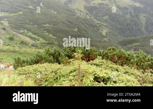 Steep Grass Slope Stock Videos And Footage Hd And 4k Video Clips Alamy
