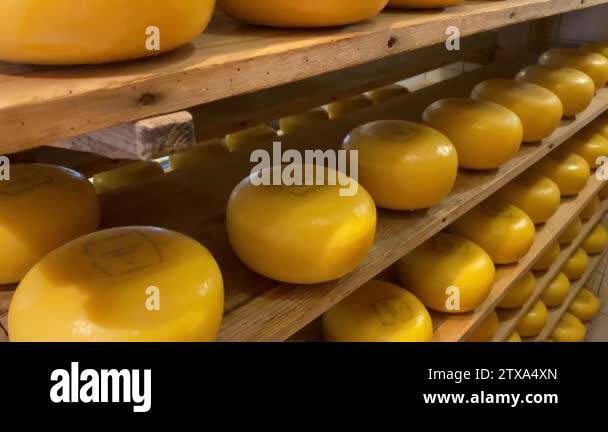 Cheese display in one Stock Videos & Footage - HD and 4K Video Clips ...