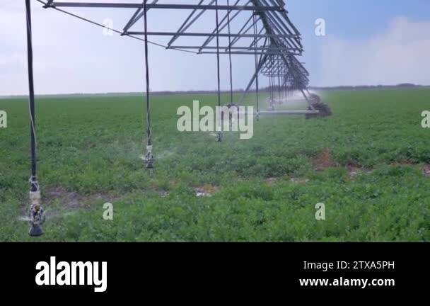 Agricultural field industrial sprinkler spraying Stock Videos & Footage ...