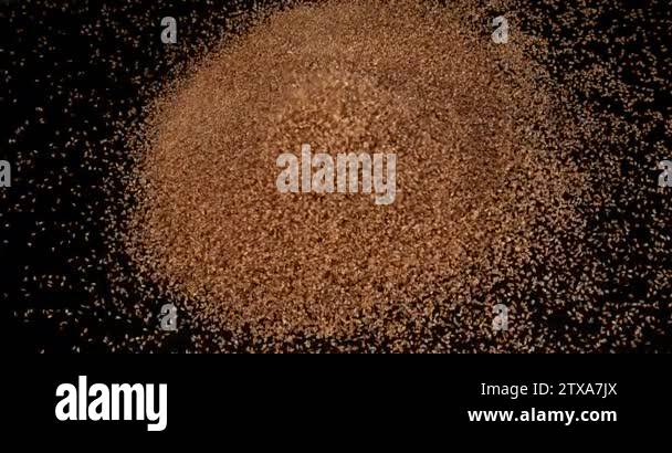 Gold Coloured Sesam, sesamum indicum, Seeds Exploding against Black ...