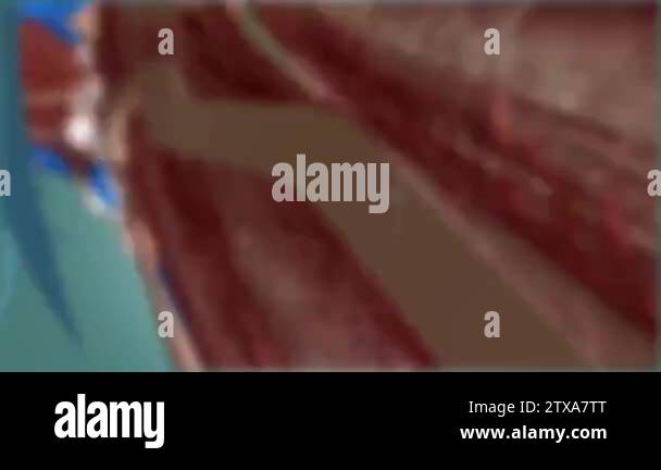 Muscle motor neuron Stock Videos & Footage - HD and 4K Video Clips - Alamy