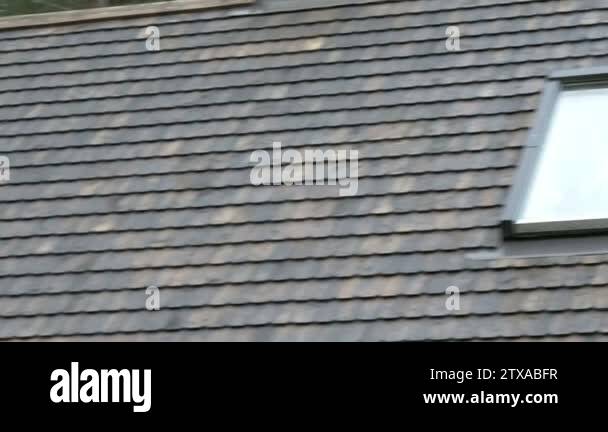 Window shingles Stock Videos & Footage - HD and 4K Video Clips - Alamy