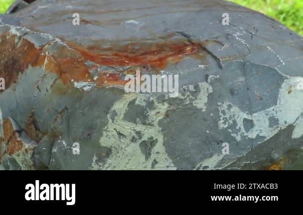 Shale stone is a fine-grained, clastic sedimentary rock composed of mud ...