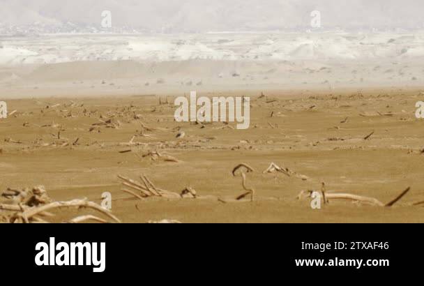 Dead sea shoreline Stock Videos & Footage - HD and 4K Video Clips - Alamy