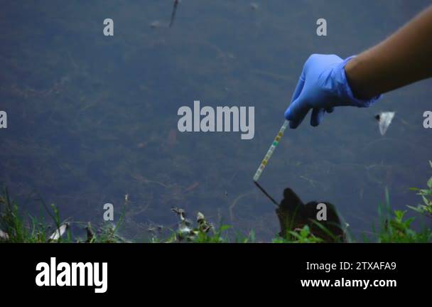 Biologist measuring lake water heavy Stock Videos & Footage - HD and 4K ...