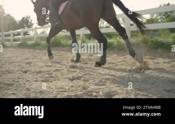 Horse rider cantering Stock Videos & Footage - HD and 4K Video Clips ...