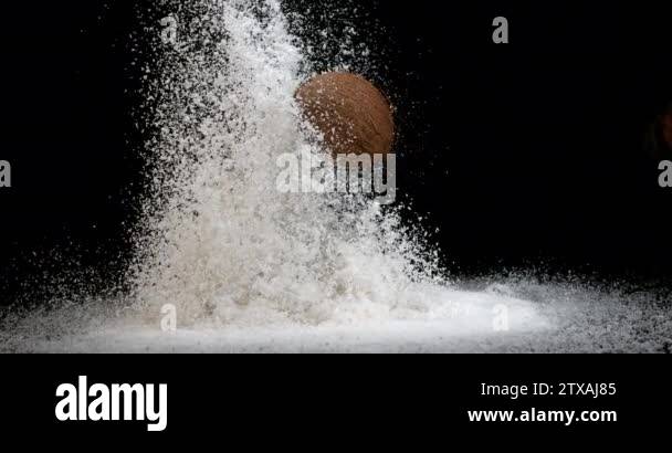 Coconut, cocos nucifera, Fruit and Powder Exploding against Black ...