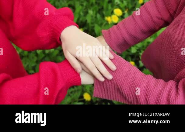 Palm on palm Stock Videos & Footage - HD and 4K Video Clips - Alamy