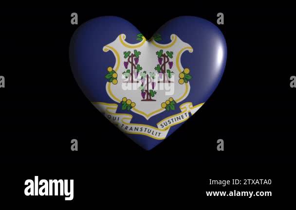 Connecticut heart pulsate isolate on transparent background loop, alpha ...