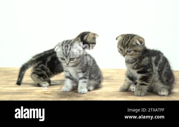 Confusing directions Stock Videos & Footage - HD and 4K Video Clips - Alamy