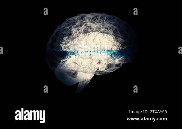 3d render xray style image of human brain rotating. Human brain being ...