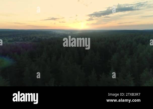 Happiness and freedom of nature scenery Stock Videos & Footage - HD and ...