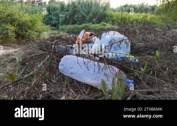 Trash, litter and contamination in a green natural space. Polluted ...