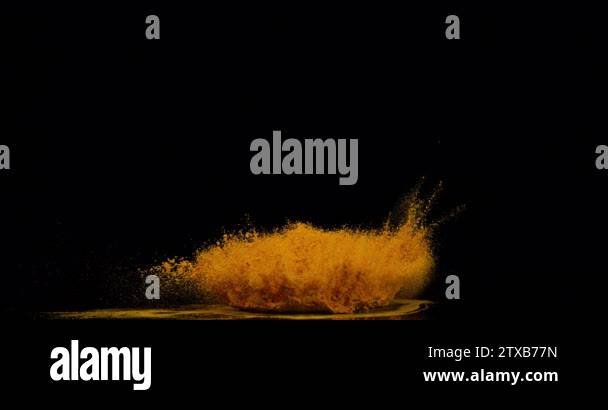 Turmeric, curcuma longa, Powder falling against Black Background ...