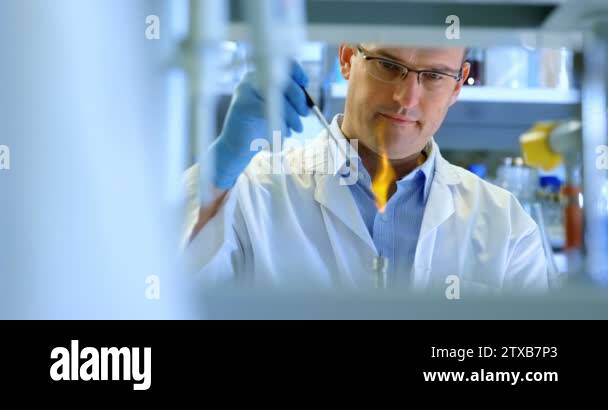 Attentive male scientist experimenting in laboratory 4k Stock Video ...