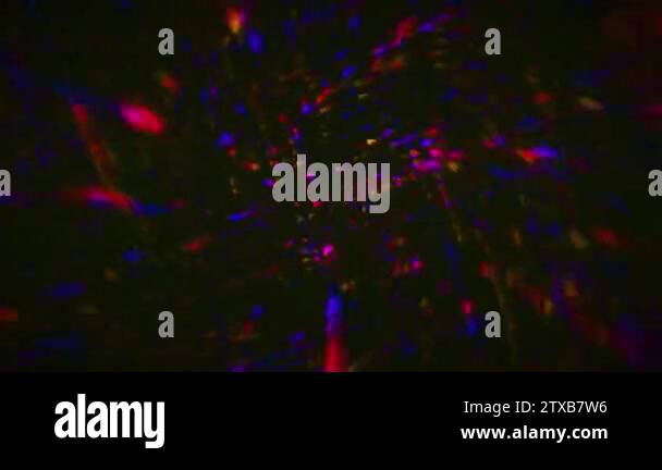 Showcase background Stock Videos & Footage - HD and 4K Video Clips - Alamy