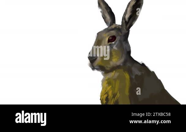 Rabbit green screen Stock Videos & Footage - HD and 4K Video Clips - Alamy