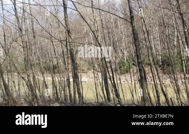 River rough Stock Videos & Footage - HD and 4K Video Clips - Alamy