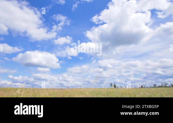 Farm field. Field of grass and perfect sky Stock Video Footage - Alamy