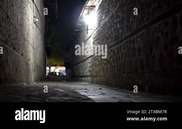 Alley night low angle Stock Videos & Footage - HD and 4K Video Clips ...