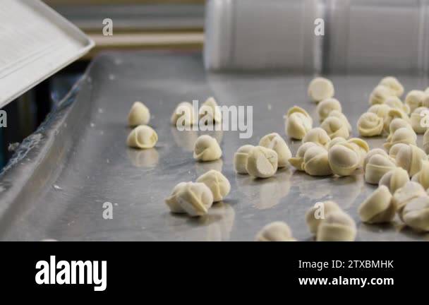 Just finished dumplings fly from tray to table. Flying dumplings in ...