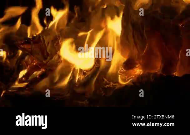 Papers burning Stock Videos & Footage - HD and 4K Video Clips - Alamy Papers burning Stock Videos & Footage - HD and 4K Video Clips - Alamy