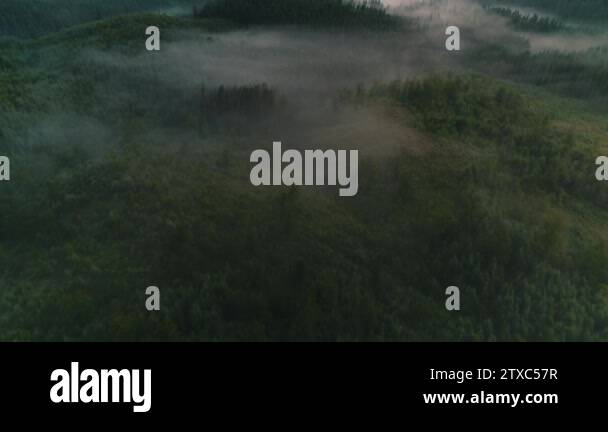 Brecon forest Stock Videos & Footage - HD and 4K Video Clips - Alamy