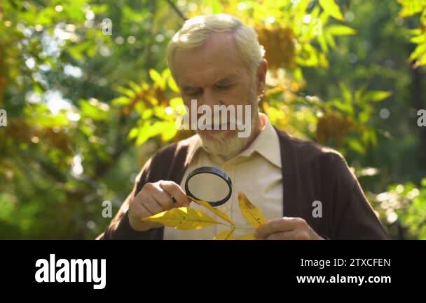 Longevity senior old man healthy male Stock Videos & Footage - HD and ...