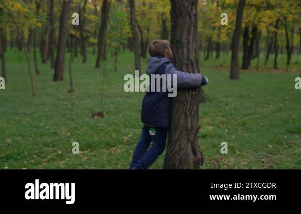 Young teenage boy hugging tree in park, standing next to it, then ...