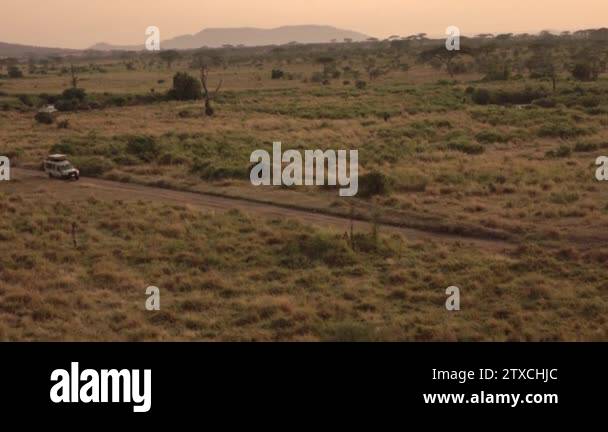 AERIAL: Safari jeep game driving on dusty road in lush savannah ...