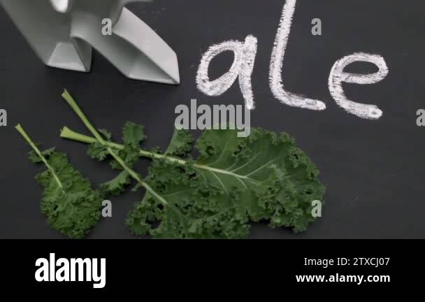 Cabbage drawing Stock Videos & Footage - HD and 4K Video Clips - Alamy