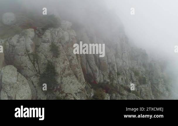 Fog on mountainside. Shot. Diagonal mountainside with trees in fog ...