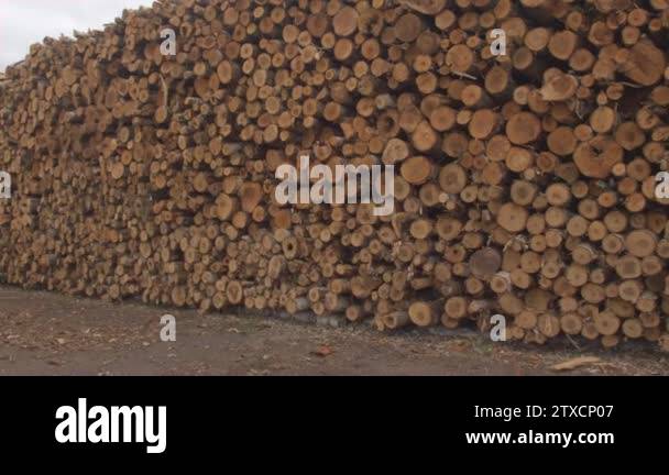AERIAL, CLOSE UP: Scenic view of perfectly stacked pile of firewood ...