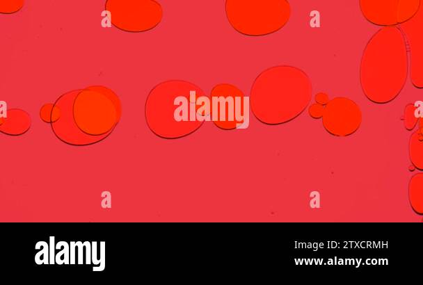 Movement in the Blood Vessel. Bright red bubbles similar to blood cells ...